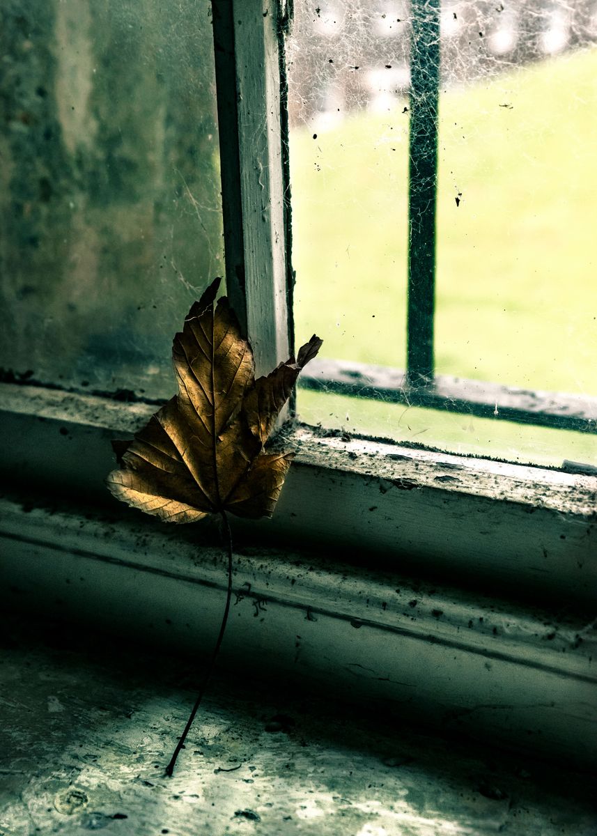 'Dead Leaf' Poster, picture, metal print, paint by Svetlana Sewell ...