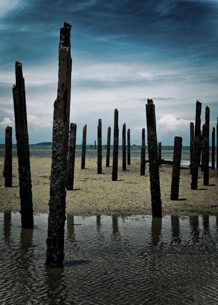 'SEA STICKS' Poster by Benjamin Dupont | Displate