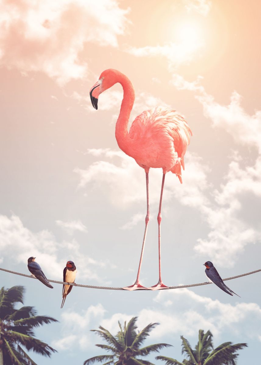 'Flamingo & Friends' Poster by Jonas Loose | Displate