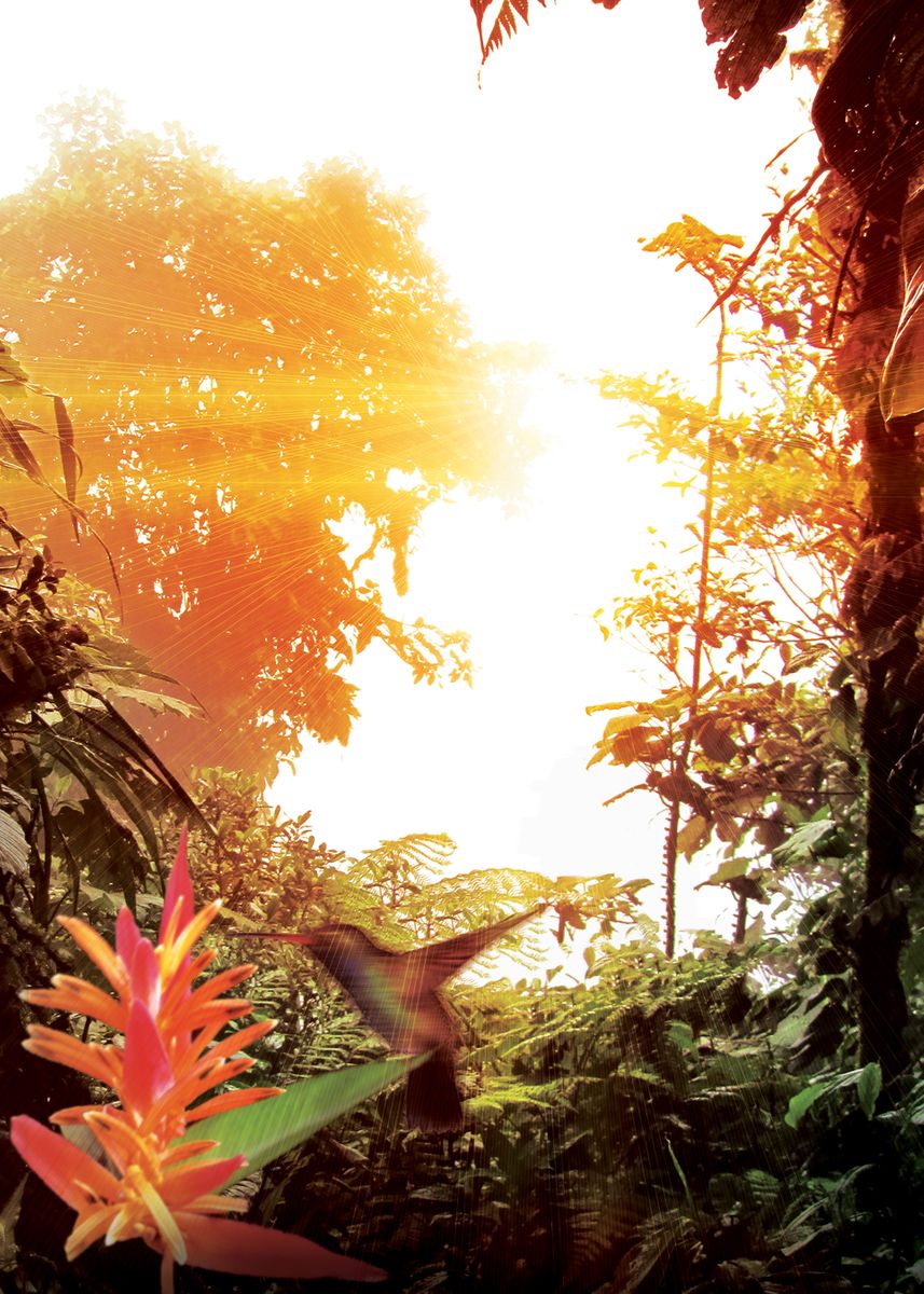 'Garden of Eden' Poster, picture, metal print, paint by Michael Taylor ...