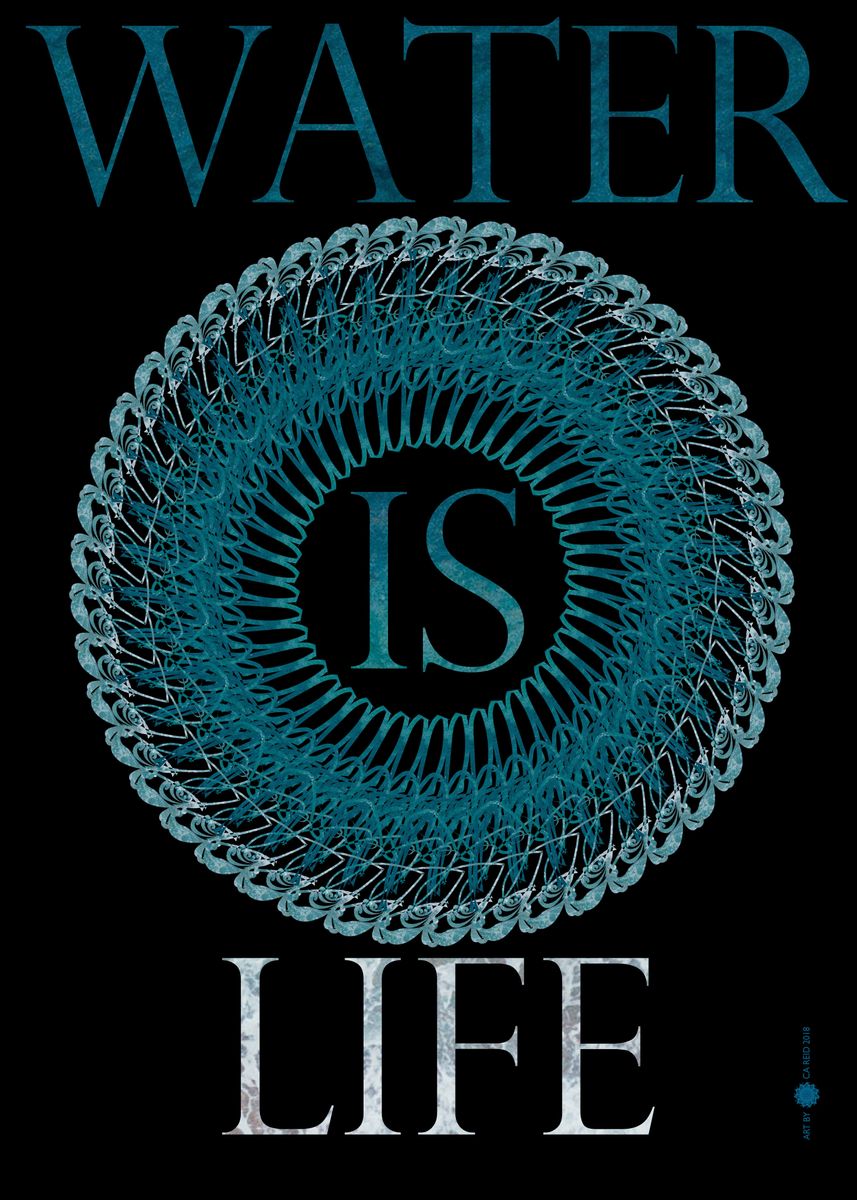 'Water Is Life' Poster by CA Reid | Displate