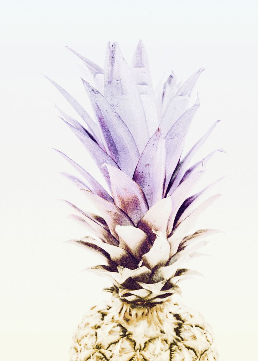 'PASTEL PINEAPPLE no3b' Poster, picture, metal print, paint by Pia ...