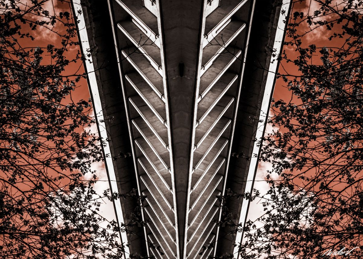 'The Bridge' Poster by Vladimir Nicolae | Displate