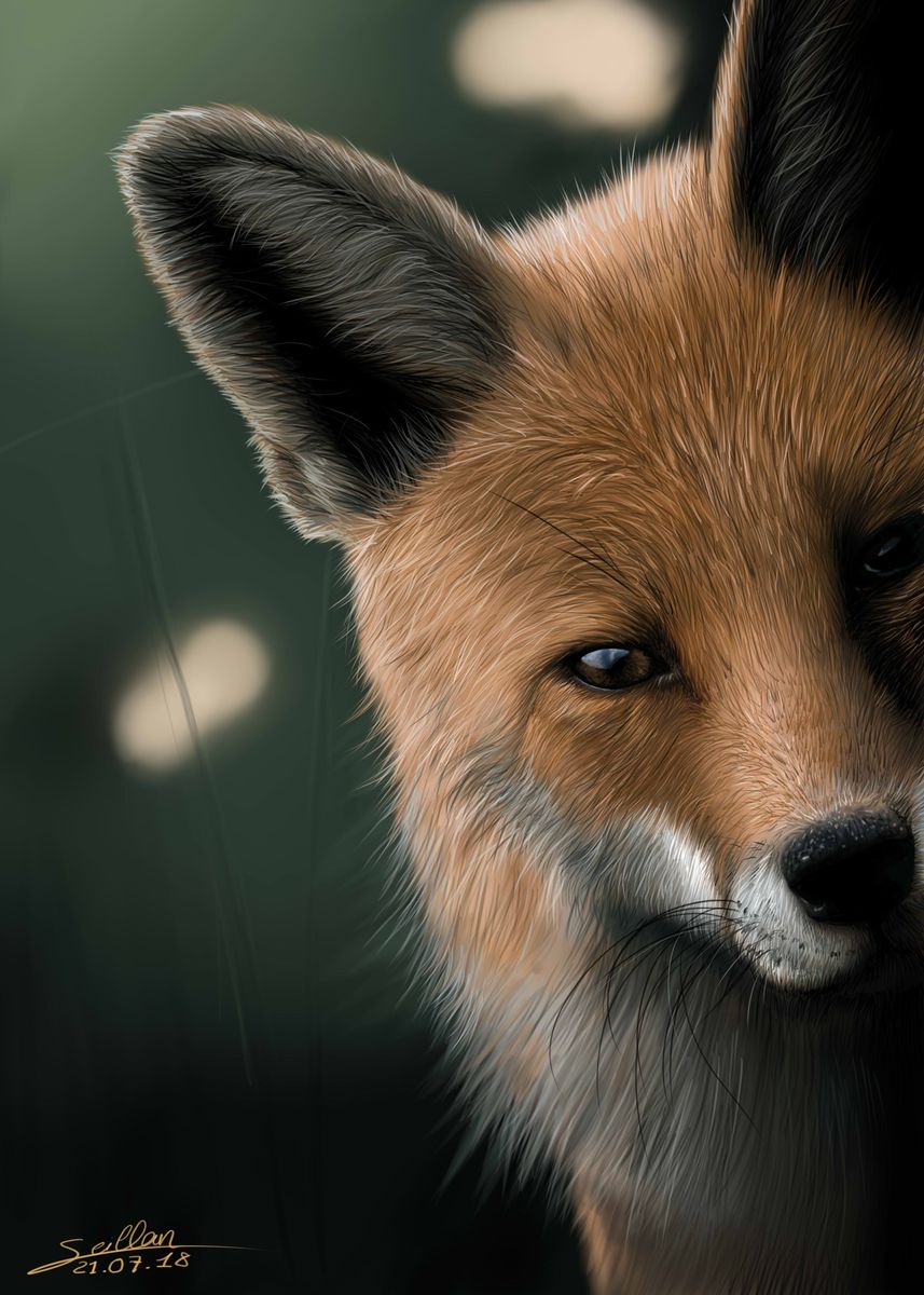 'Fox' Poster, picture, metal print, paint by lilia seillan | Displate