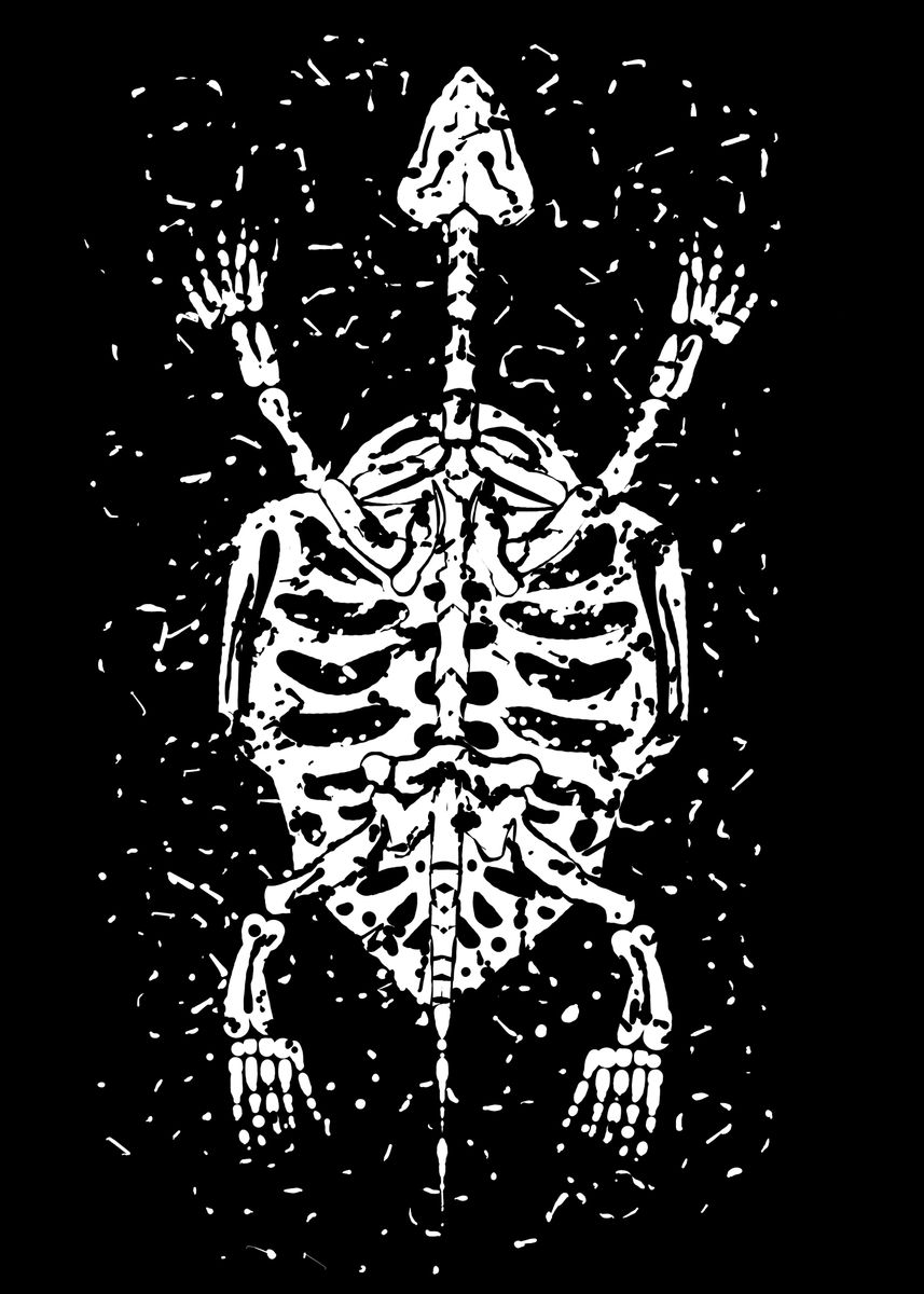 'Turtle bone' Poster by Tofan barmalisi | Displate