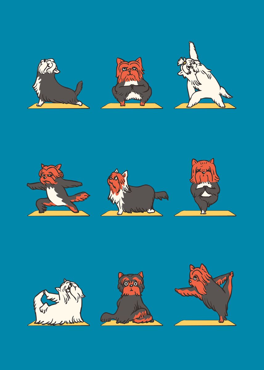 'Yorkshire Terrier Yoga' Poster, picture, metal print, paint by ...