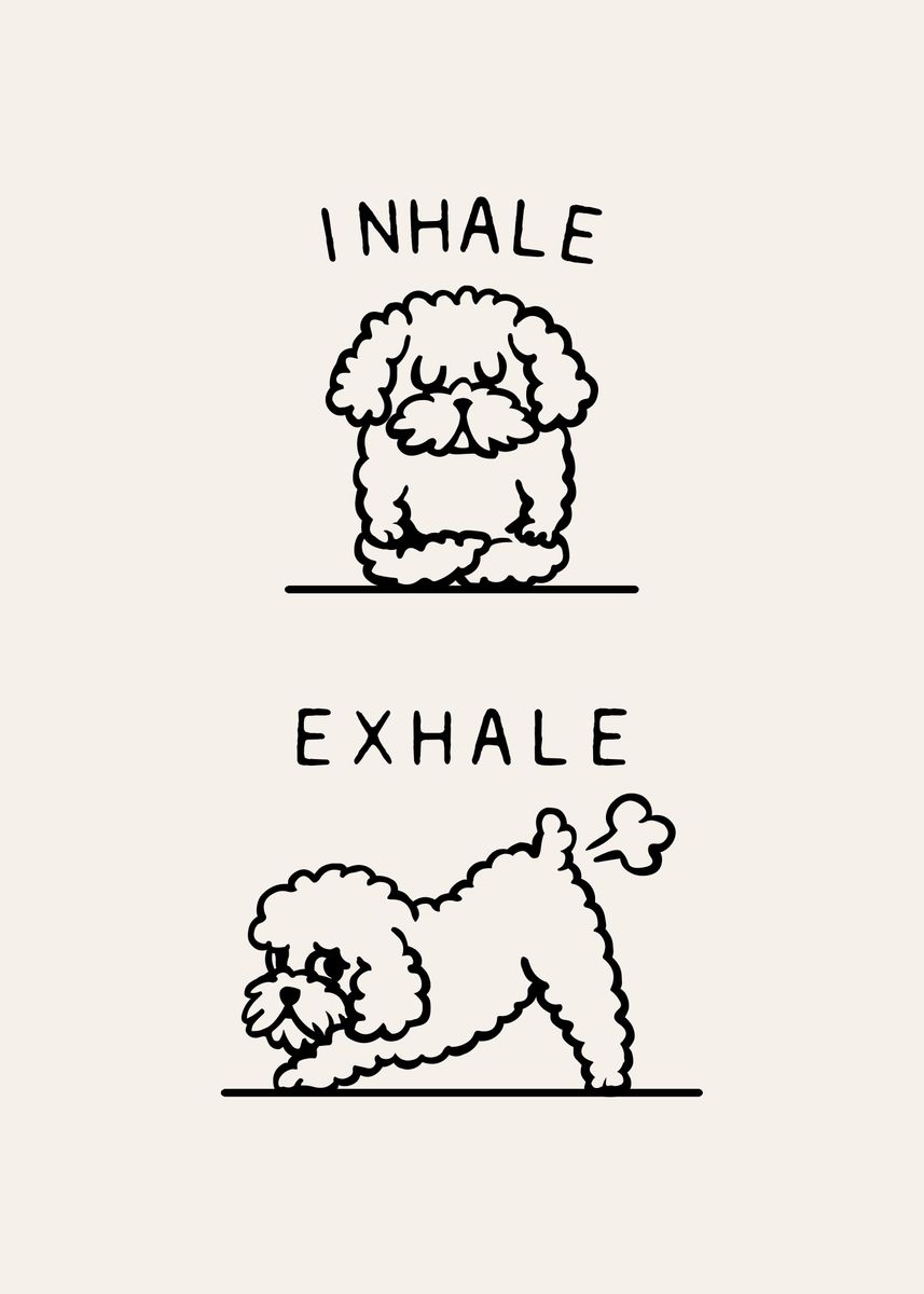 'Inhale Exhale Toy Poodle' Poster, picture, metal print, paint by ...