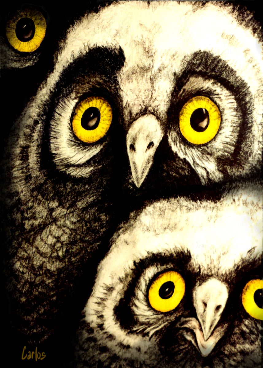 'Night Owls' Poster, picture, metal print, paint by Tom Carlos | Displate