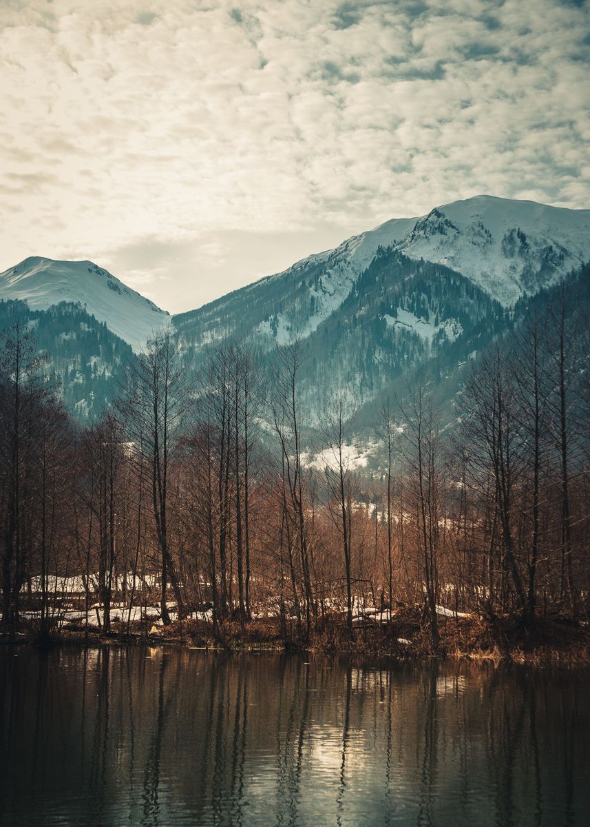 'Magic Reflection' Poster, picture, metal print, paint by Levan Jobadze ...