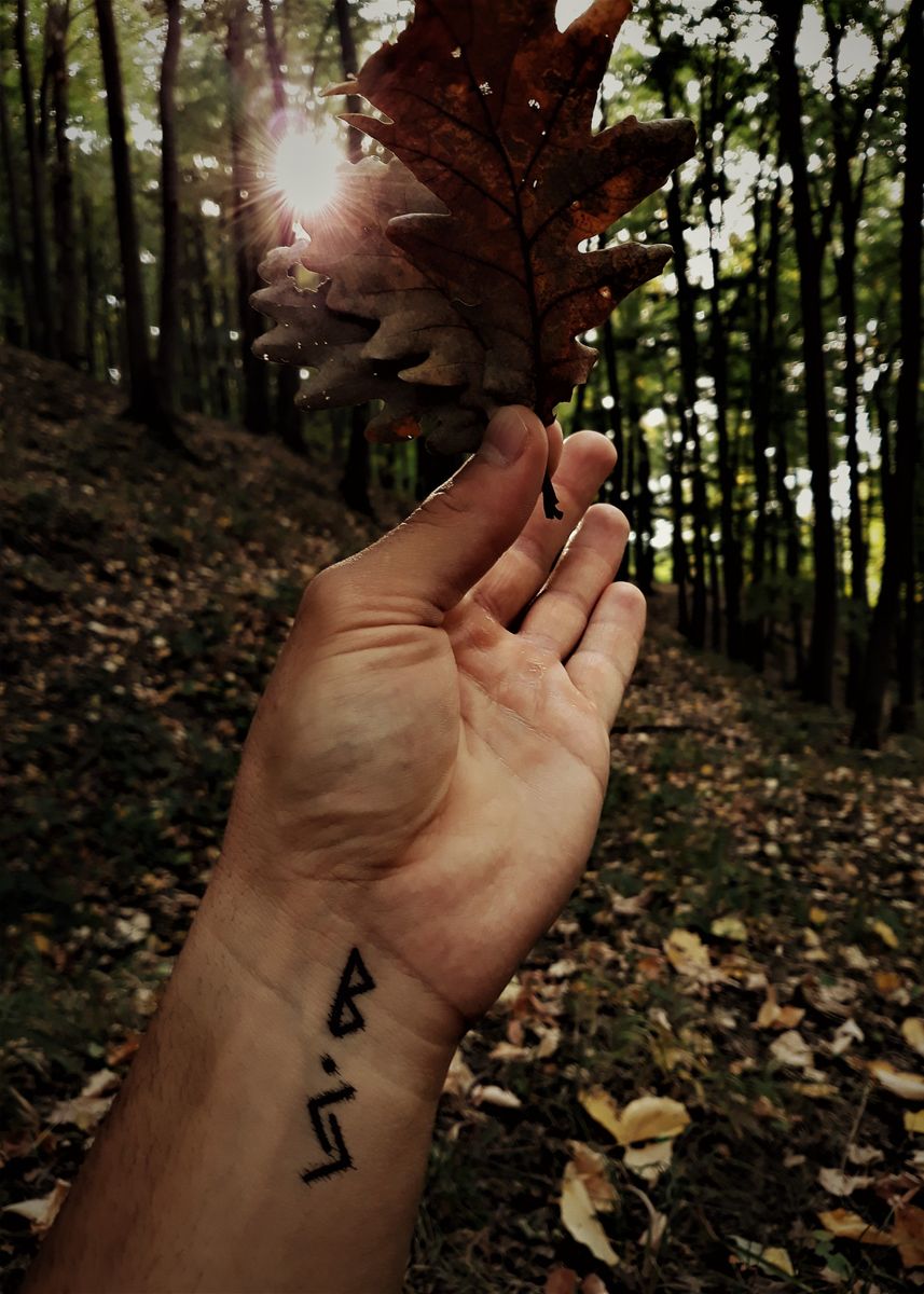 'Berkano . Jera' Poster, picture, metal print, paint by Bogdan Andrew ...