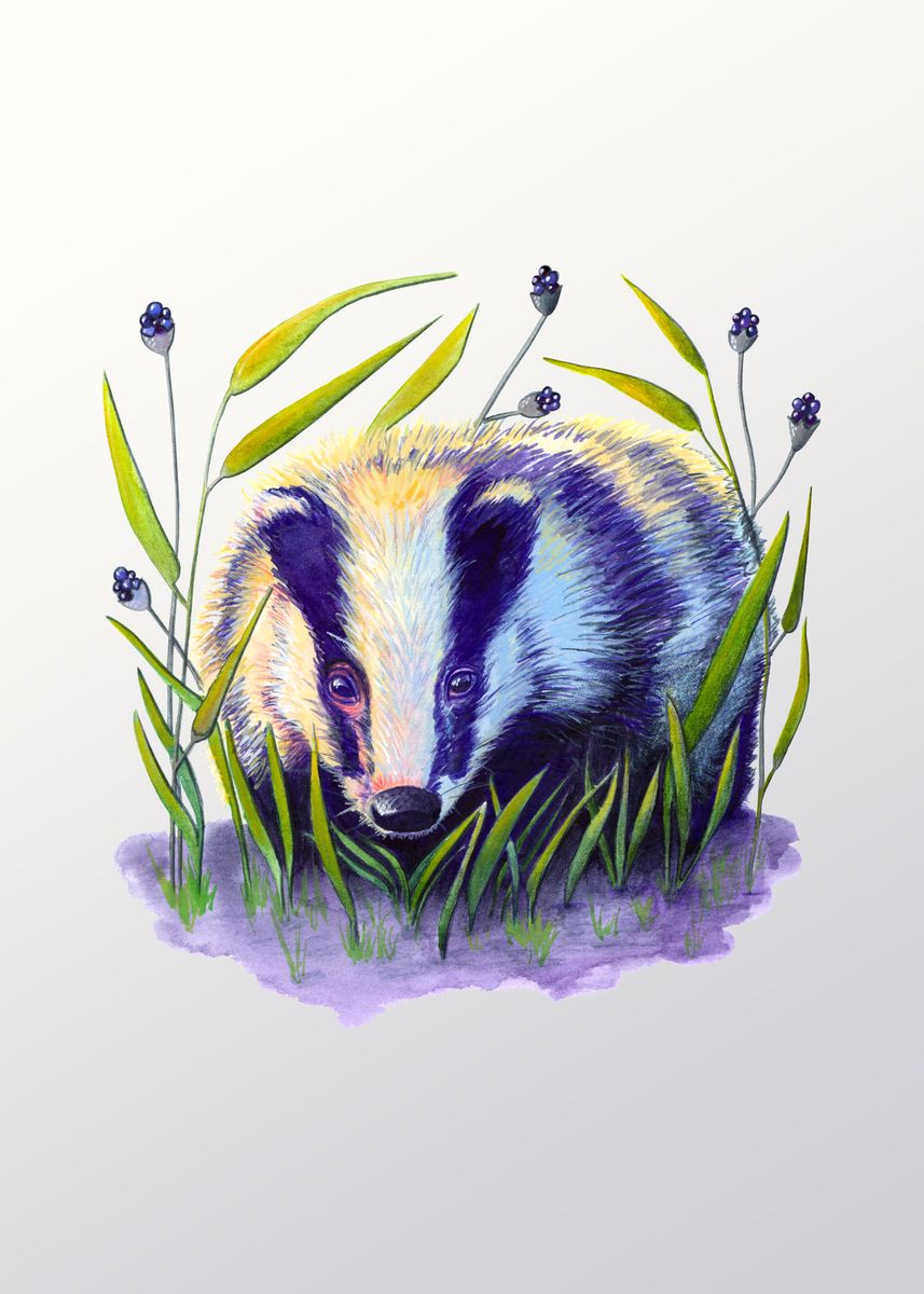 'Badger' Poster, picture, metal print, paint by NODAMSL | Displate