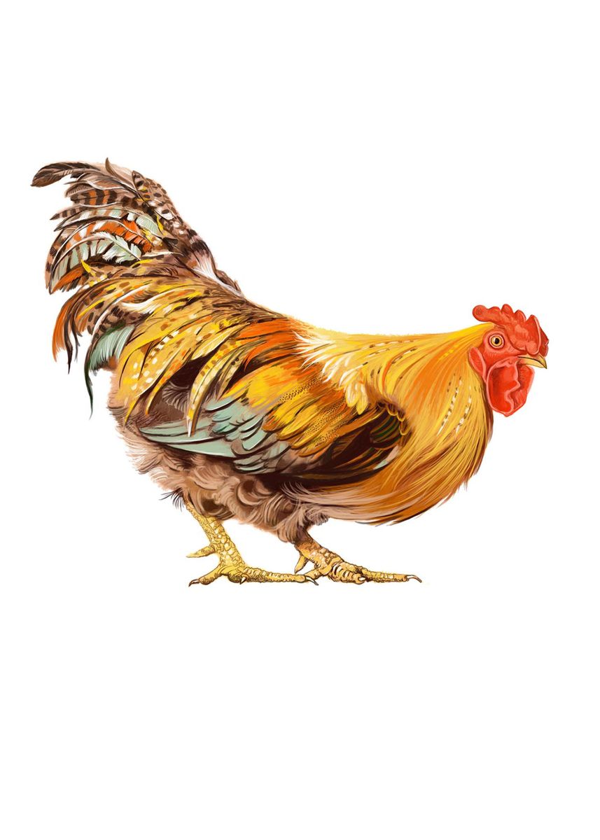 'rooster' Poster by Vitali Dudarenka | Displate