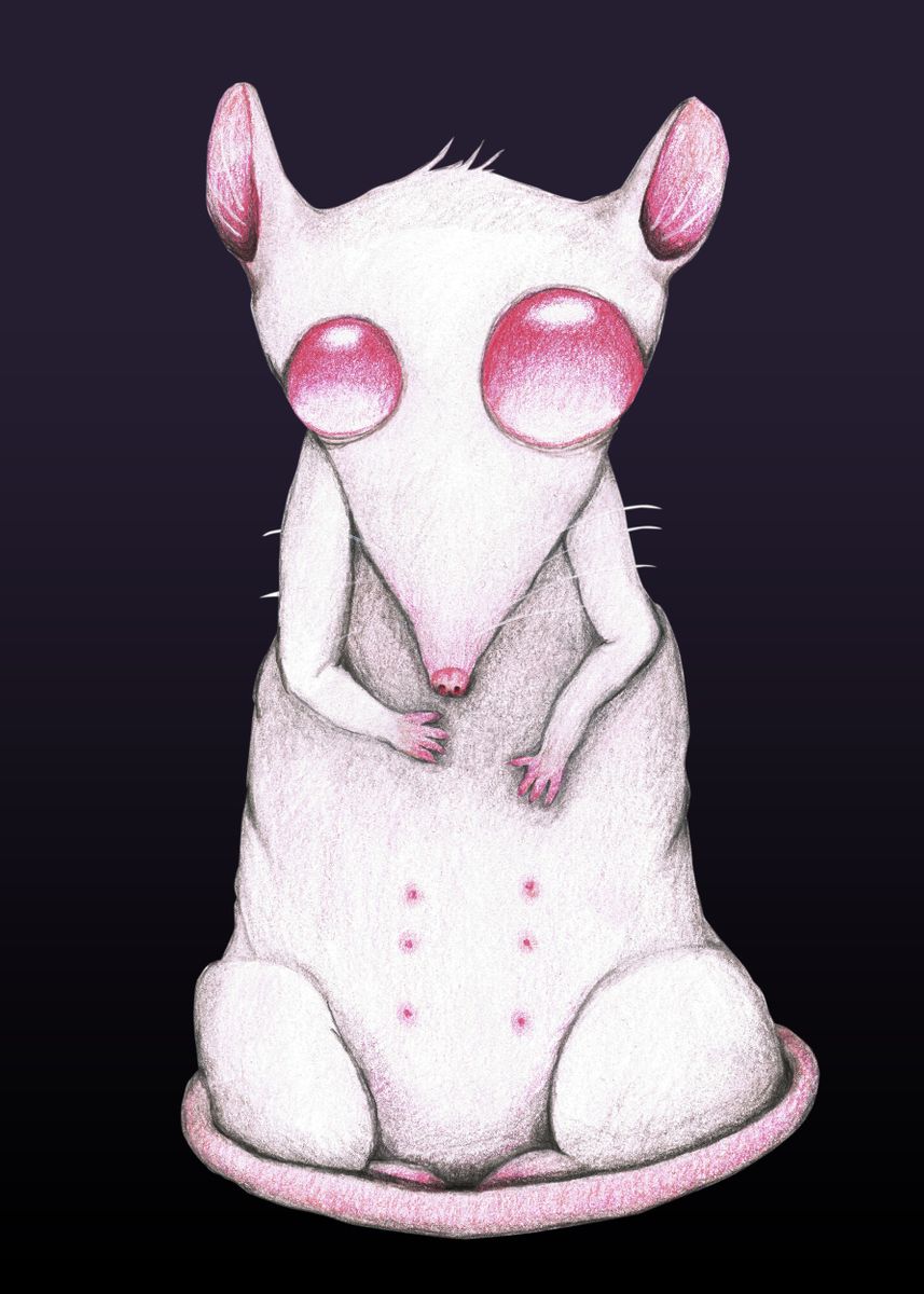 'Albino rat pencil drawing' Poster by Bianca Wisseloo | Displate