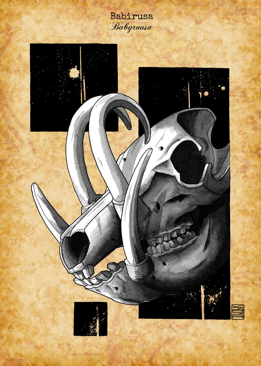 'Babirusa Skull' Poster, picture, metal print, paint by Skeenee Art ...