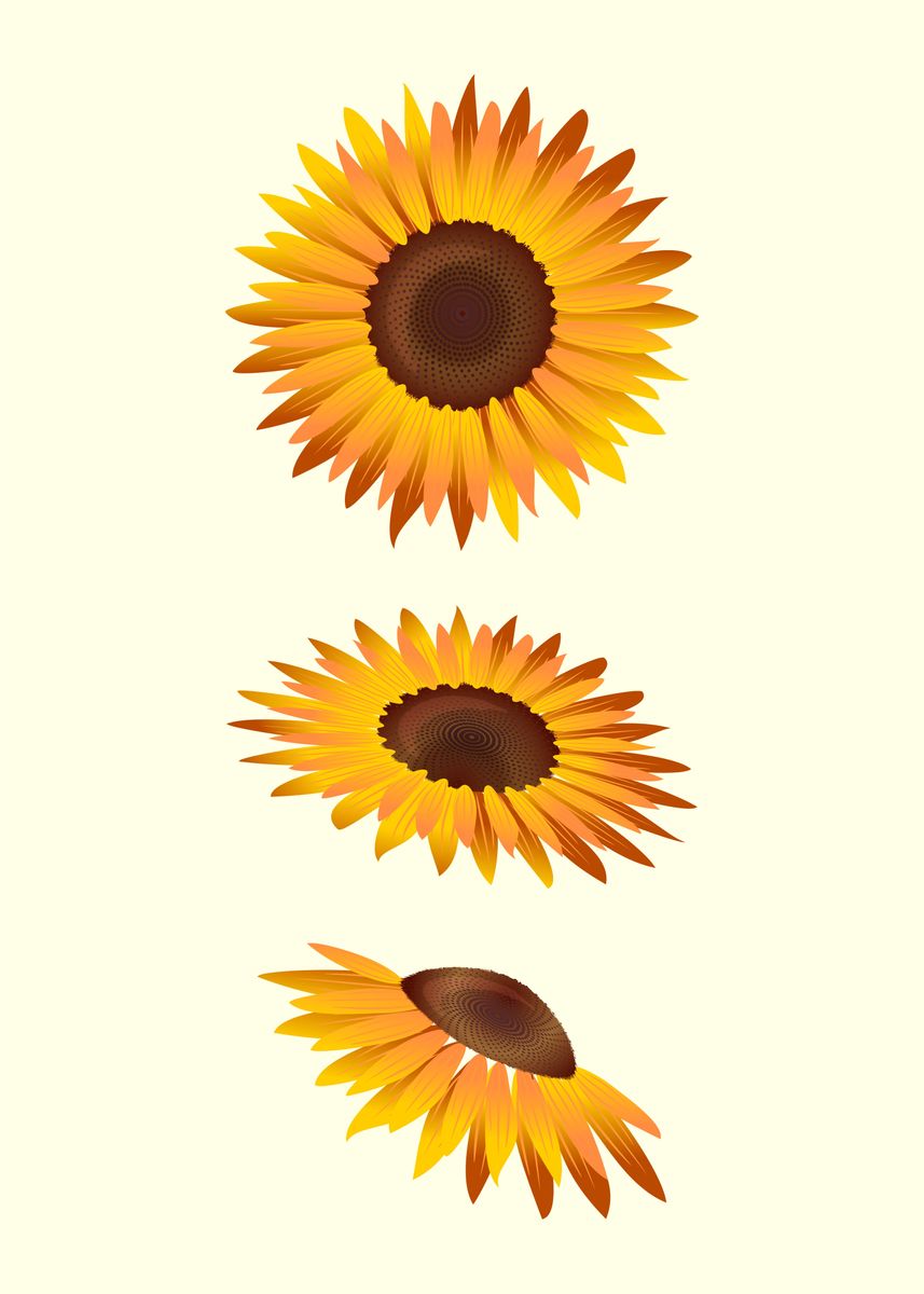 '3 Sunflowers' Poster by Ruxi Que | Displate