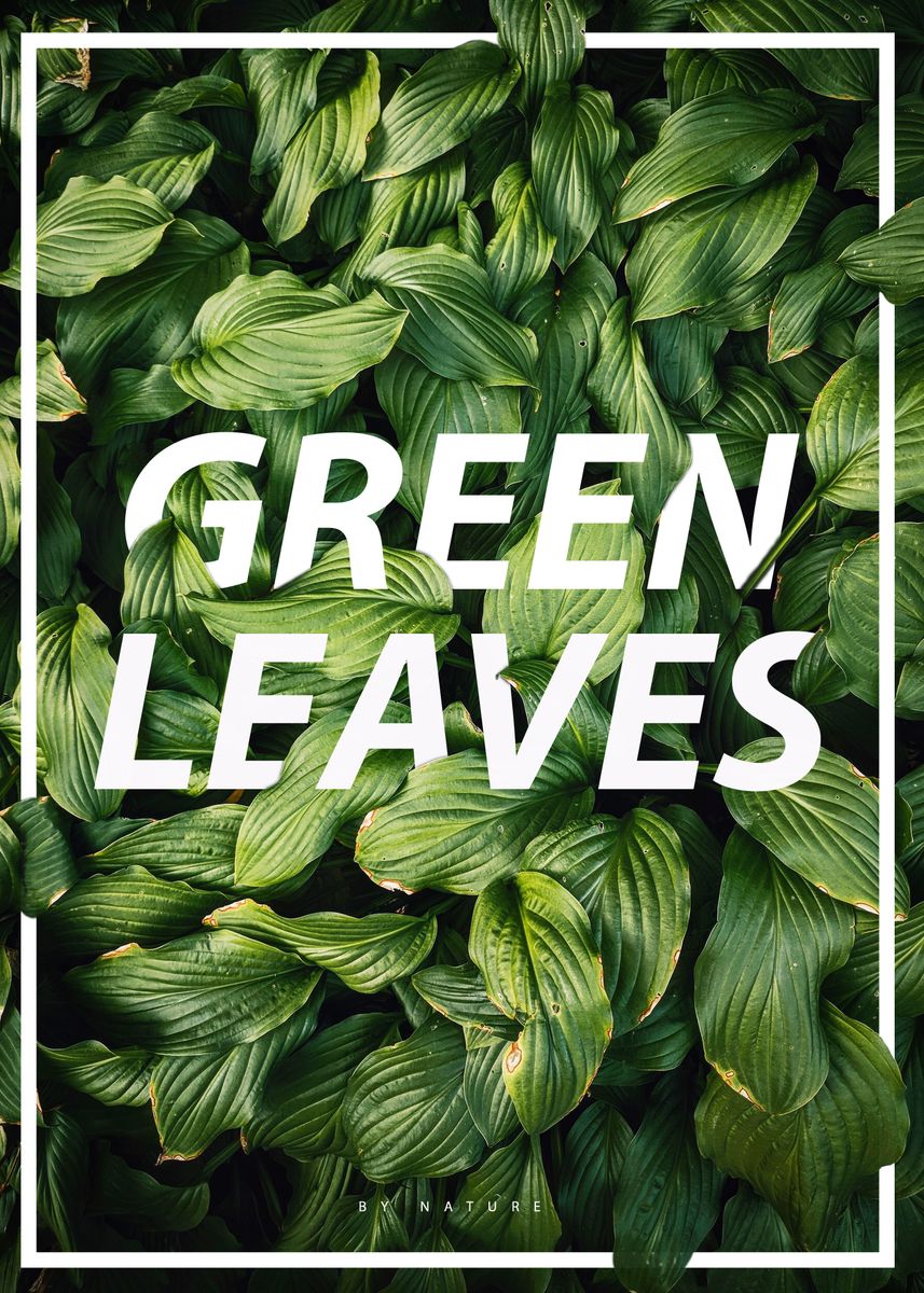 'Green Leaves' Poster, picture, metal print, paint by Marcelo Vieira ...