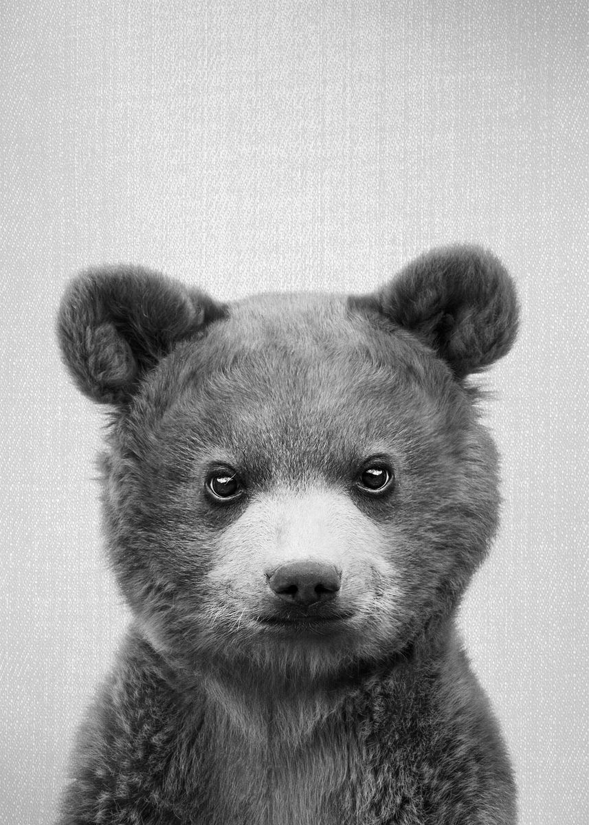'Baby Bear BW' Poster, picture, metal print, paint by Gal Design | Displate