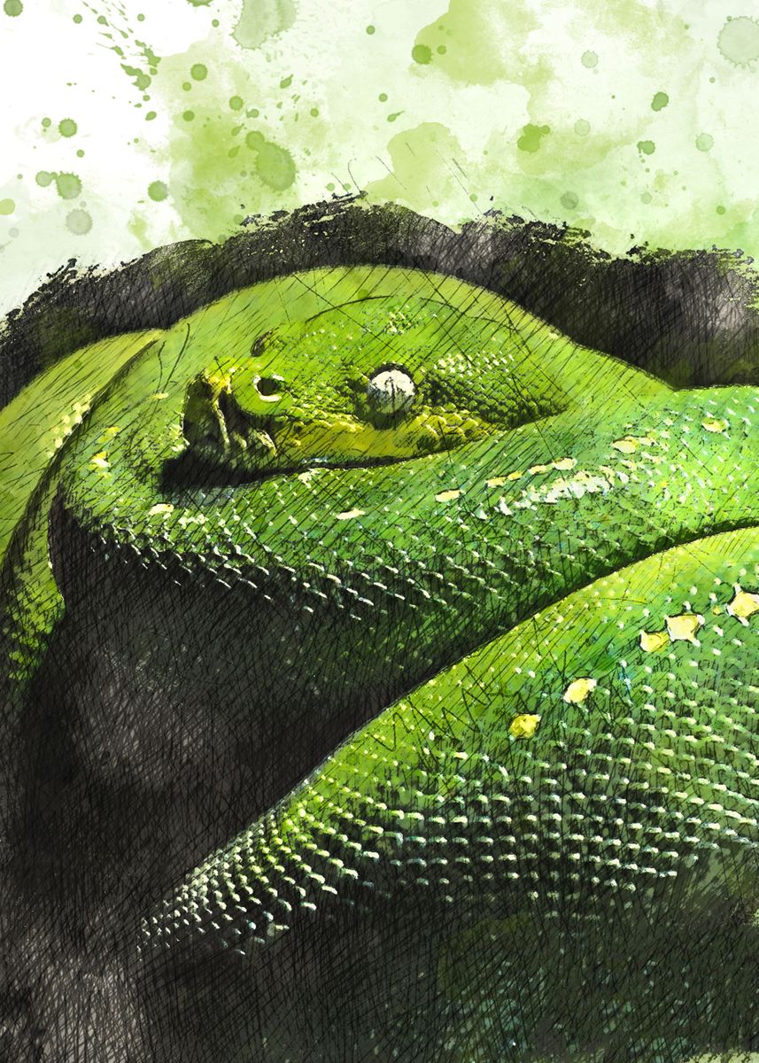 'Watercolour Snake' Poster by Fanfreak | Displate