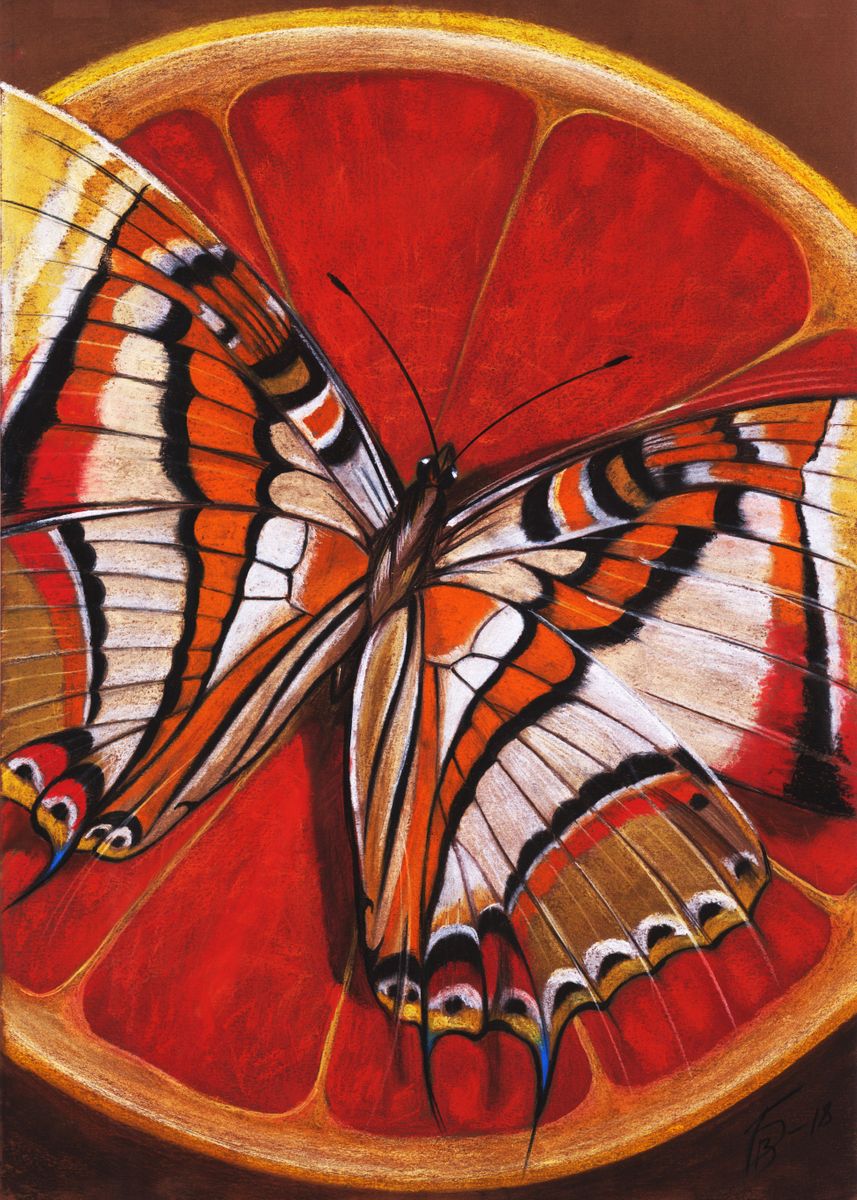 'Butterfly Designs 1' Poster, picture, metal print, paint by Viktor ...