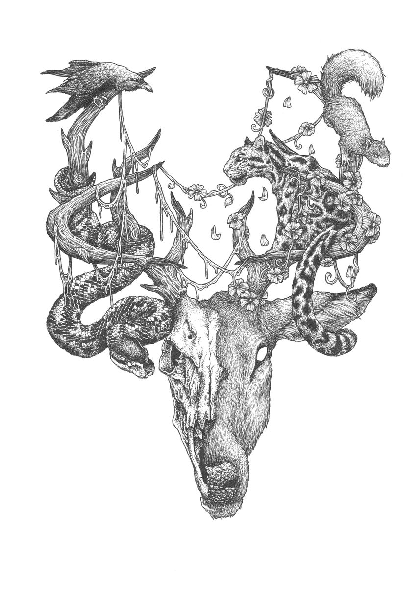 'Life and Decay' Poster, picture, metal print, paint by Chen Naje ...