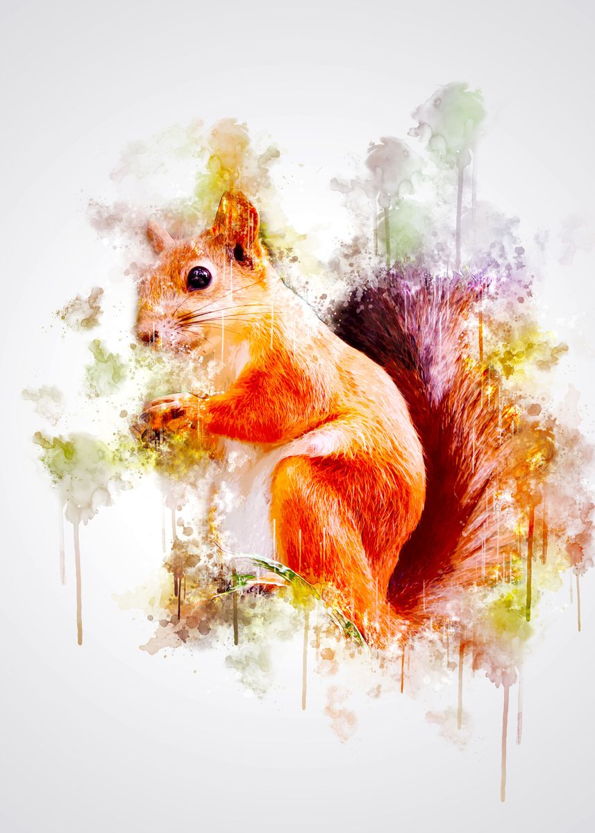 'Squirrel' Poster, picture, metal print, paint by Cornel Vlad | Displate
