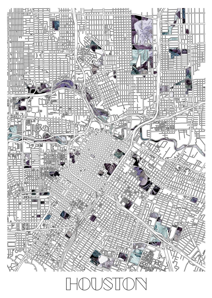 'houston city map floral' Poster, picture, metal print, paint by Bekim ...