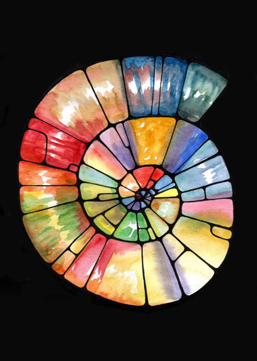 'Rainbow shell' Poster, picture, metal print, paint by Veronika ...