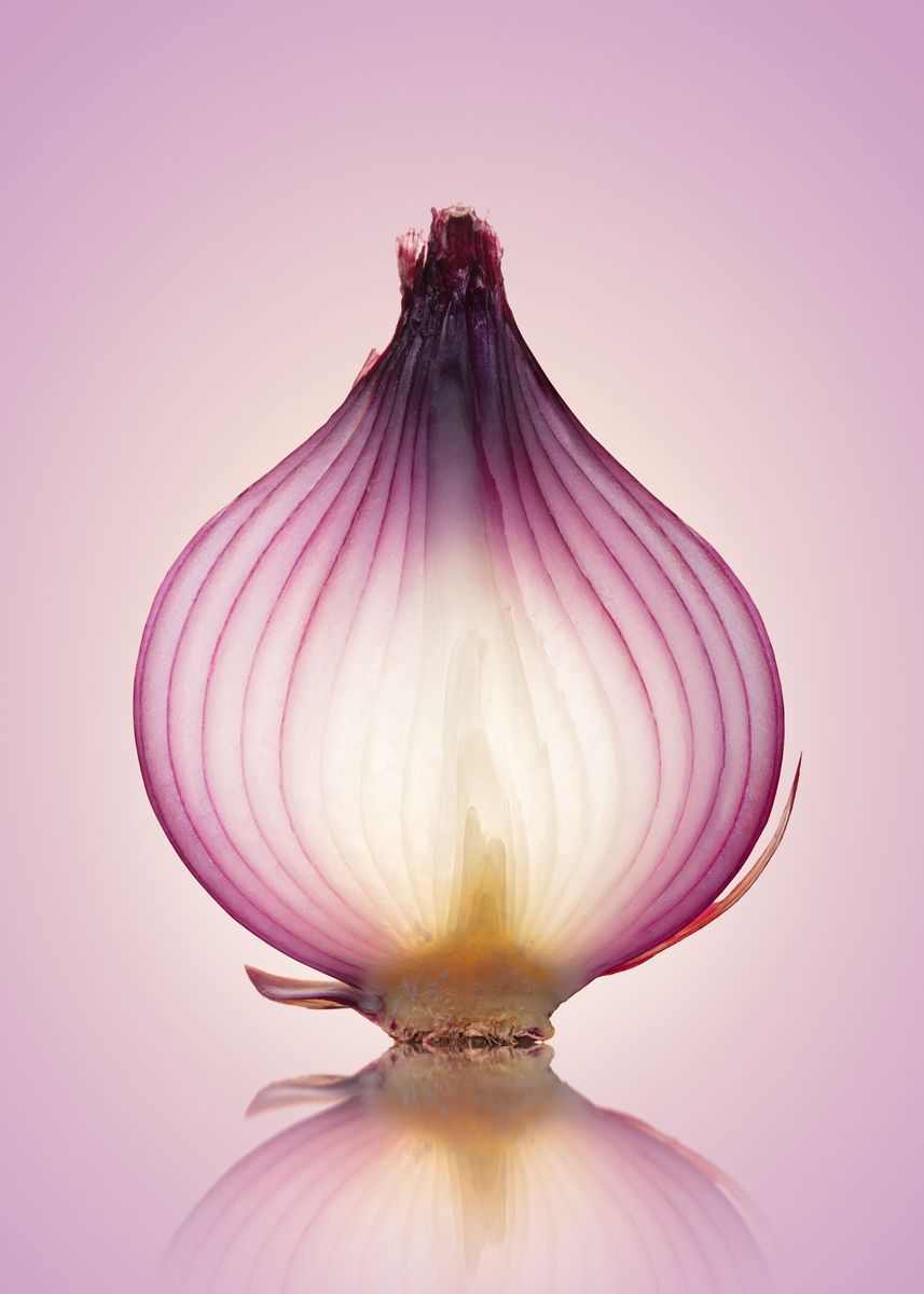 'Red Onion Translucent' Poster by Johan Swanepoel | Displate