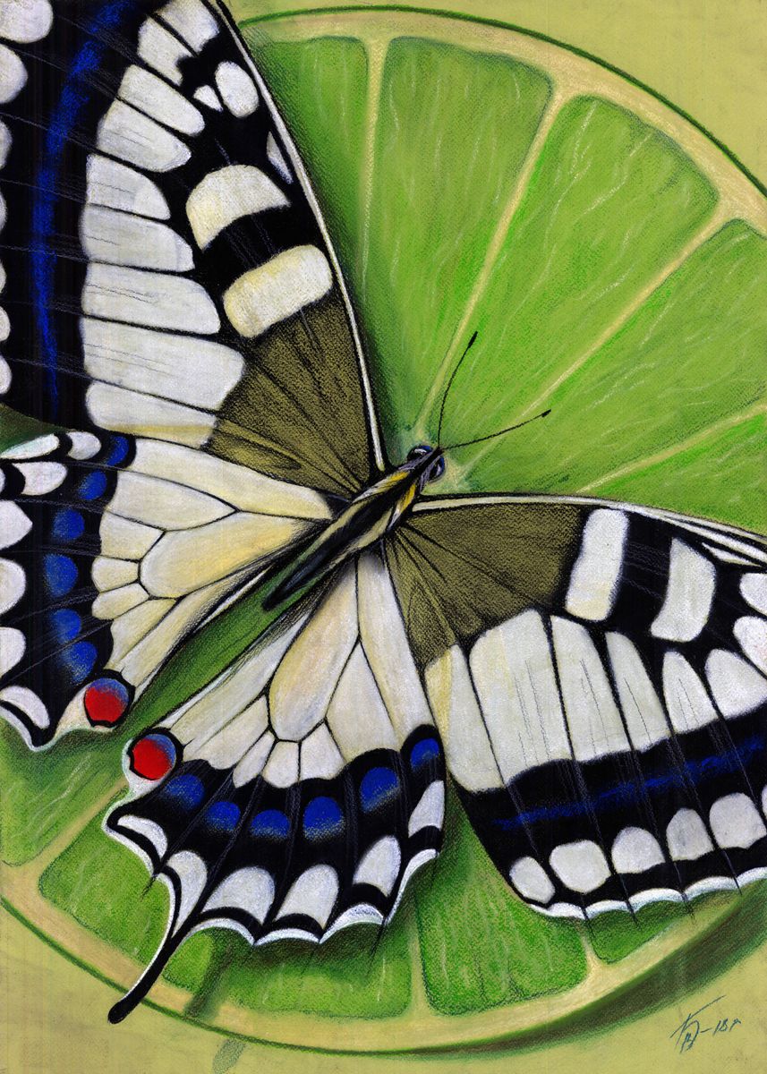 'Butterfly Designs 6' Poster, picture, metal print, paint by Viktor ...