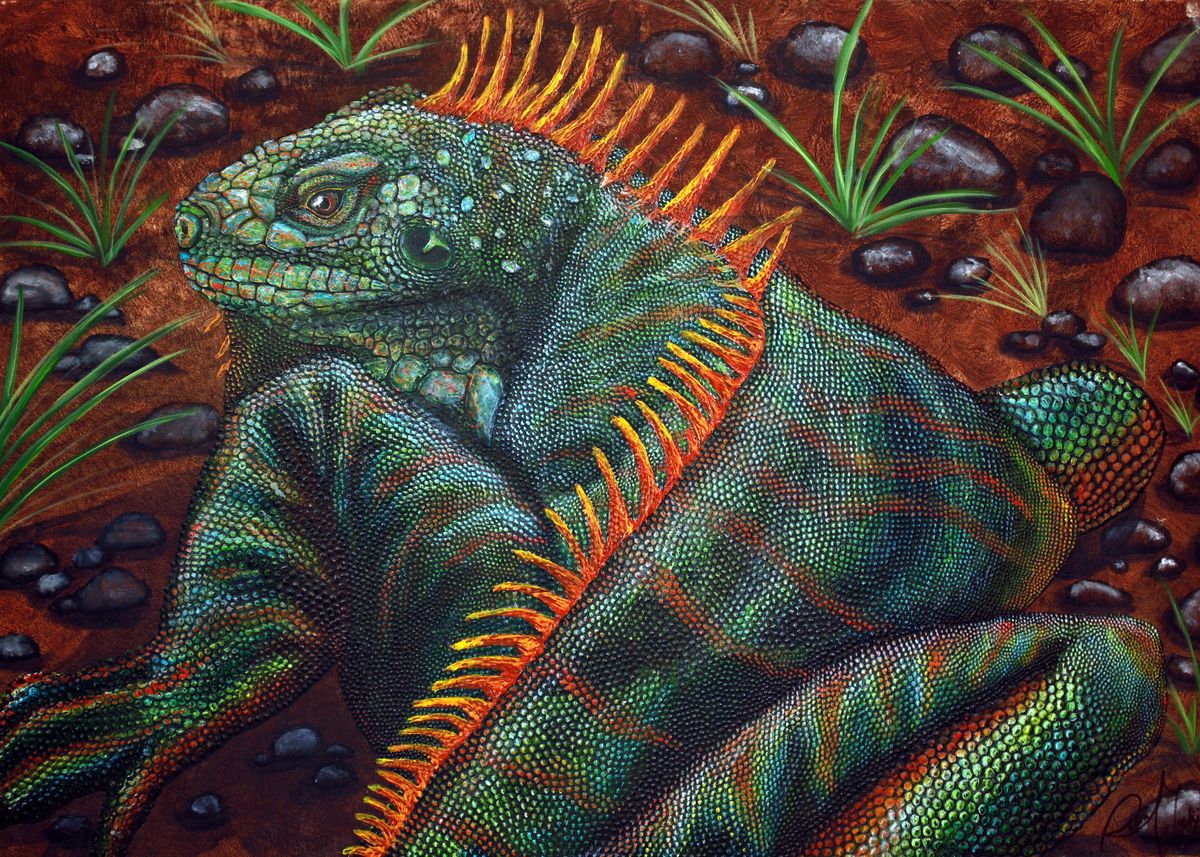 'Iguana' Poster by Robin Moulyn | Displate