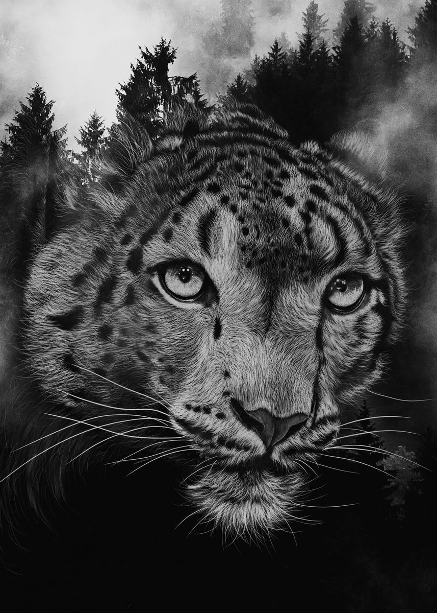 'Leopard' Poster by Mateusz Ślemp | Displate