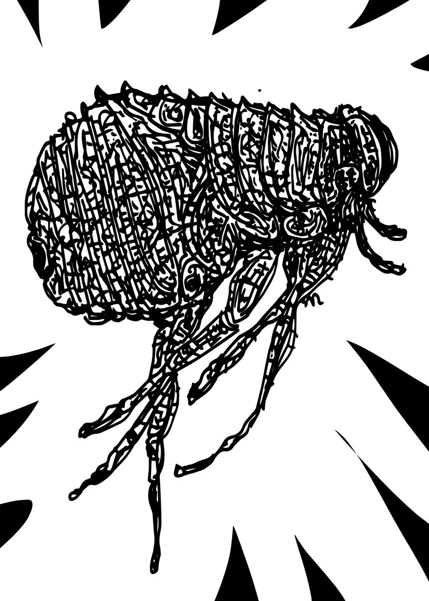 'The Flea' Poster, picture, metal print, paint by Eric Rosner | Displate