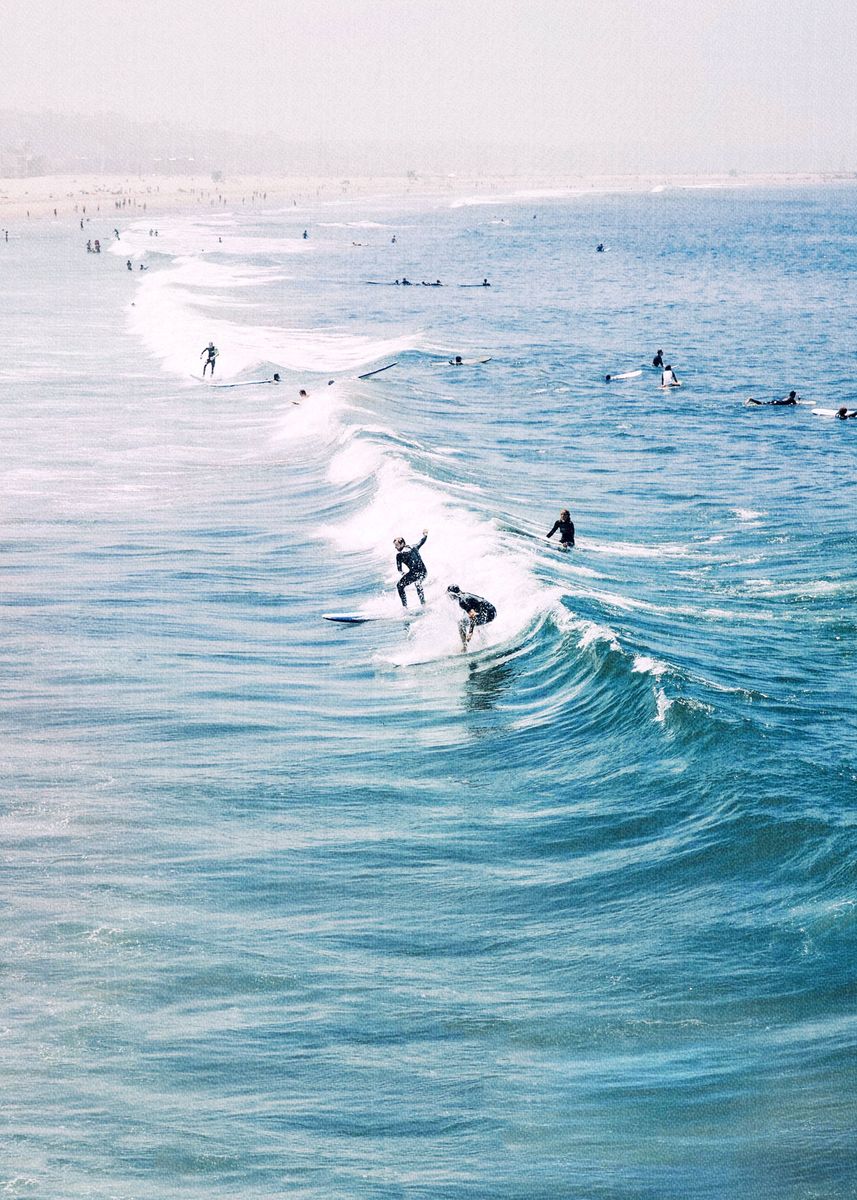 'Catch A Wave' Poster, picture, metal print, paint by Gal Design | Displate