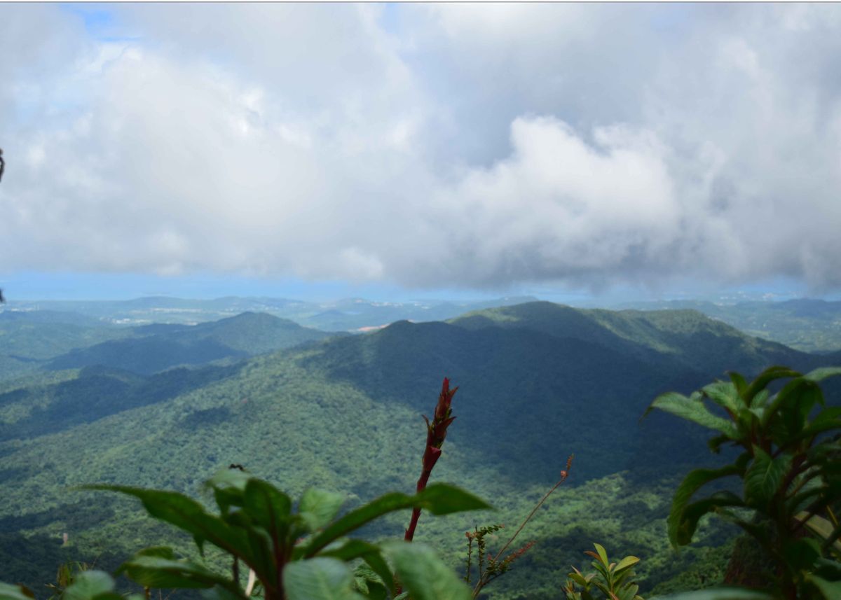 'Views from El Yunque Peak' Poster by raul garcia | Displate