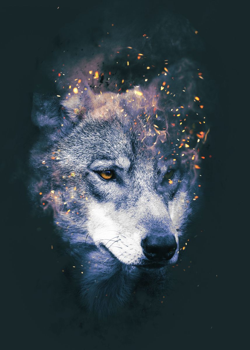'Burn Wolf' Poster, picture, metal print, paint by dmc 696 | Displate