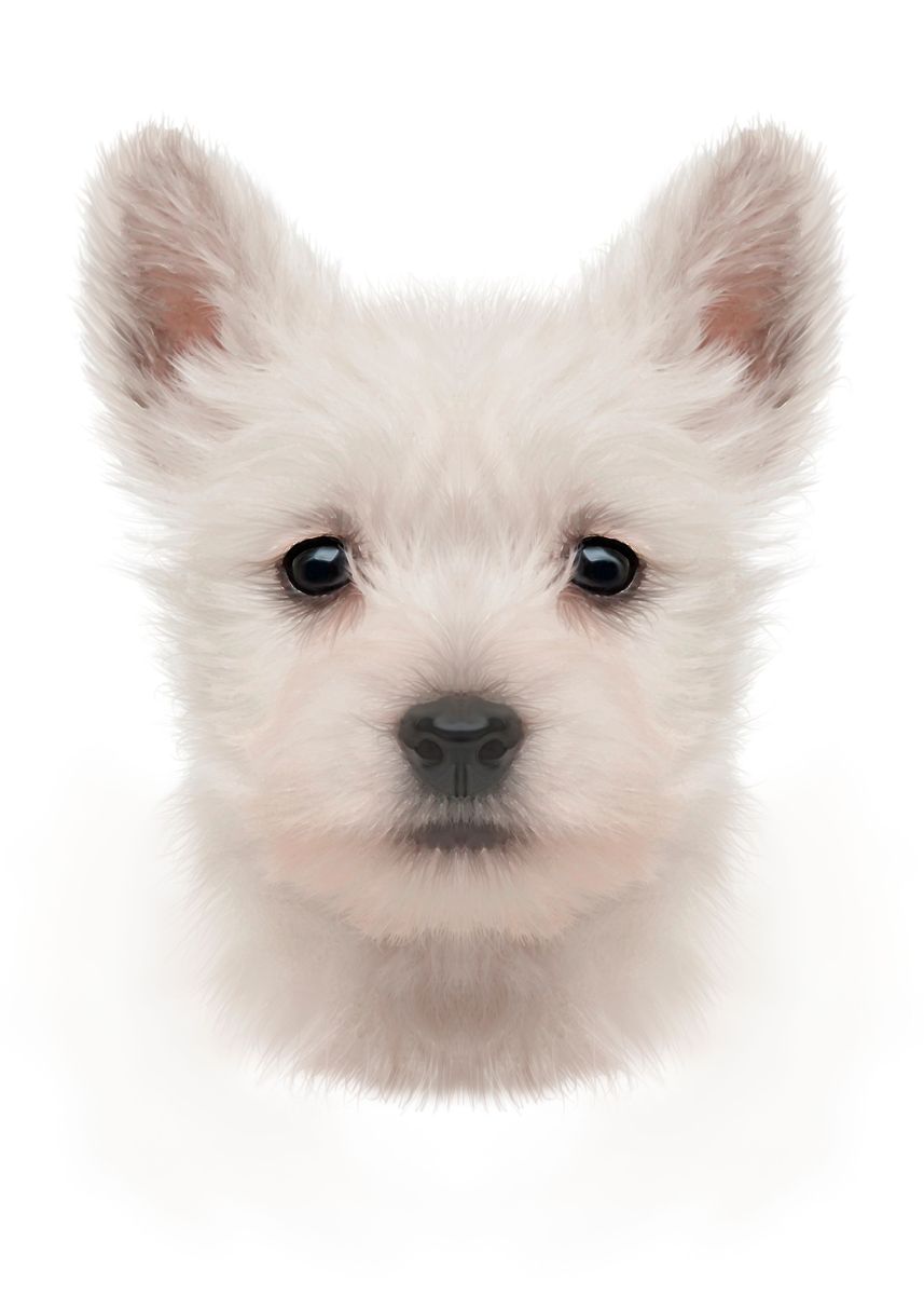 'westie' Poster, picture, metal print, paint by Michael Strevens | Displate