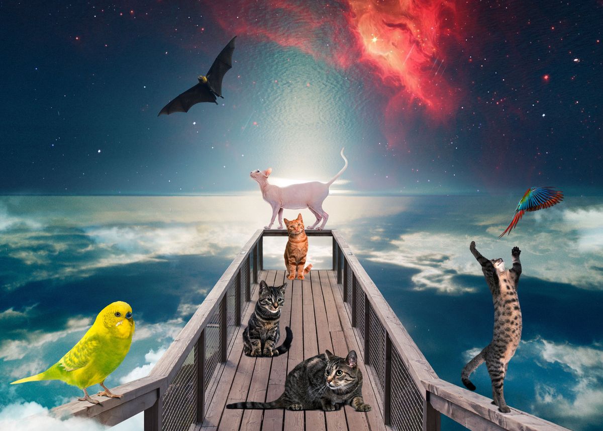 'Noahs Cats' Poster by | Displate