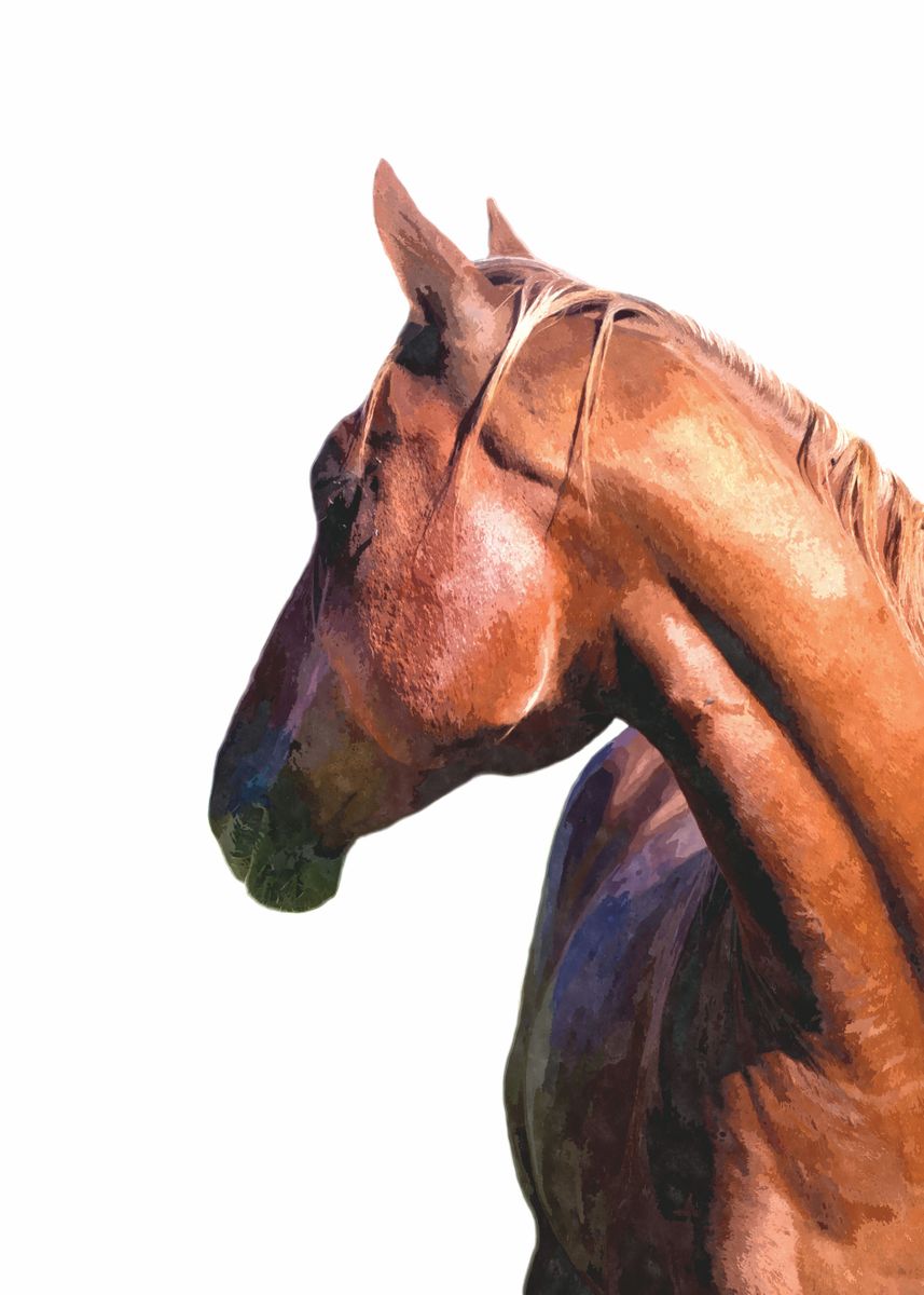 'Horse Portrait' Poster by Alemi Prints | Displate