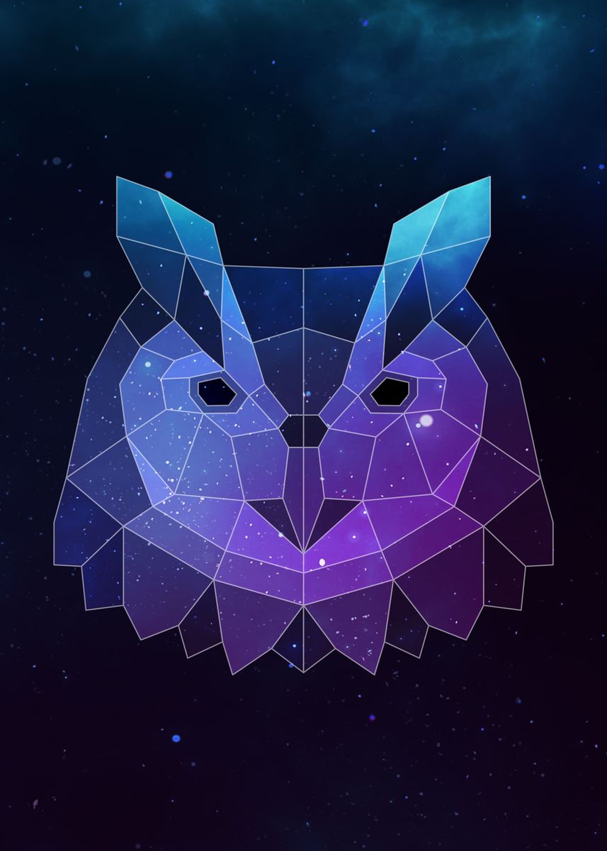 'Galaxy Owl' Poster, picture, metal print, paint by Jay Diloy | Displate