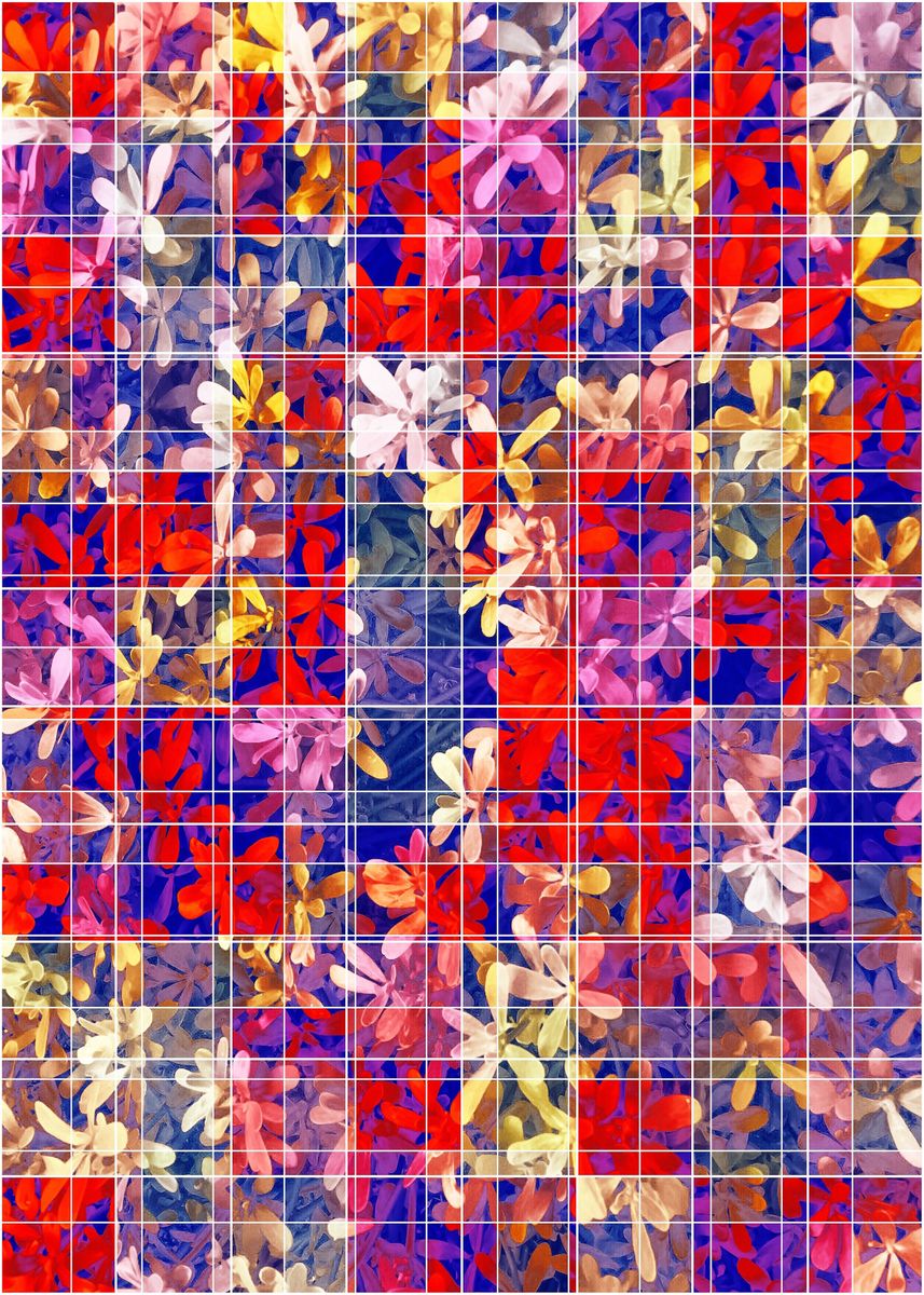'blooming flower pattern' Poster, picture, metal print, paint by timmy ...