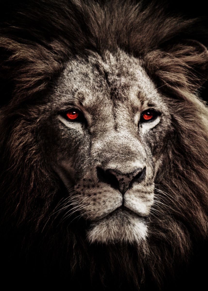 'The Thinking Lion' Poster, picture, metal print, paint by CP Metal ...