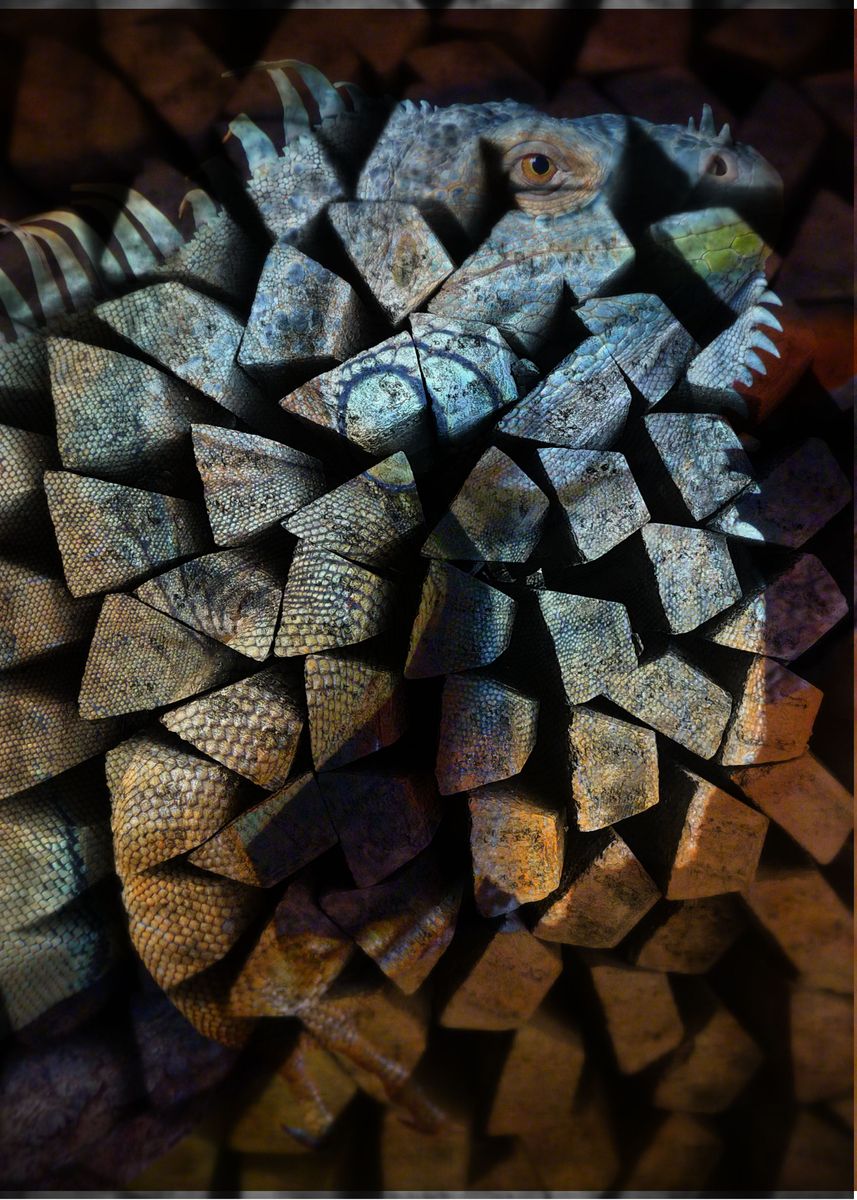 'Iguana' Poster by Ability Of Art | Displate