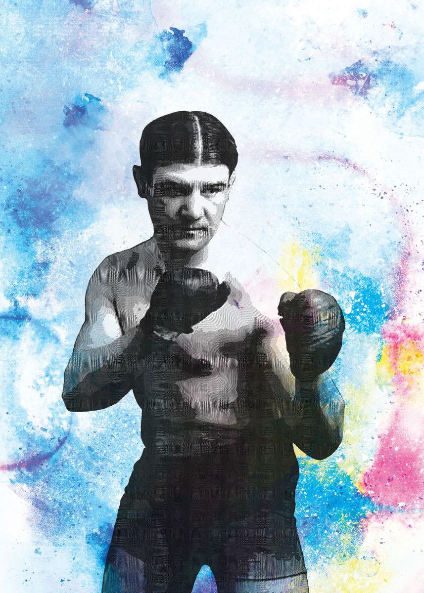 'Boxer' Poster, picture, metal print, paint by NiBi Prints | Displate