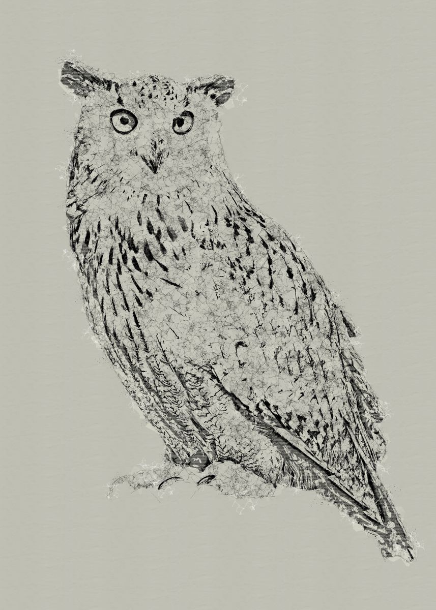 'Eagle Owl' Poster, picture, metal print, paint by 4T4 Design Studio ...