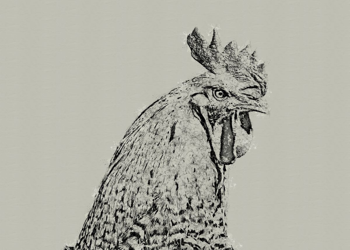 'Rooster' Poster by 4T4 Design Studio | Displate