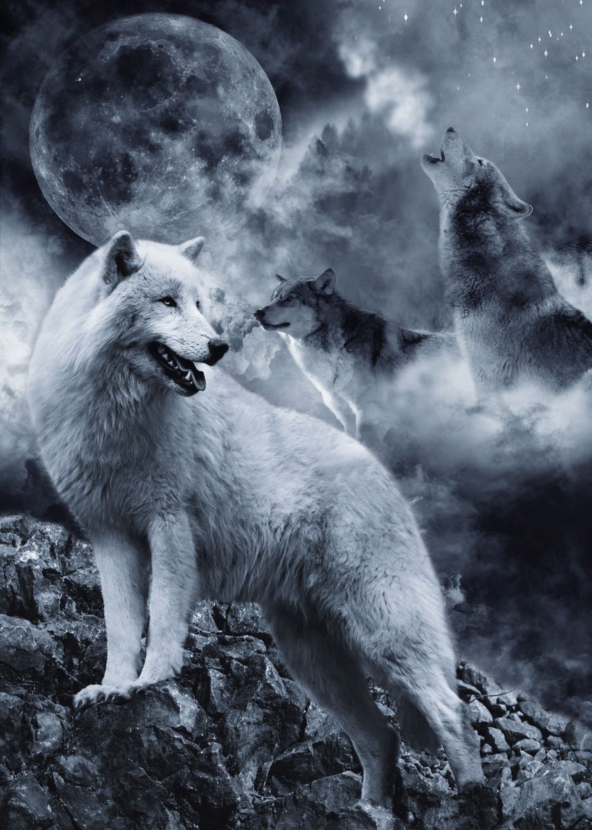 'Wolves' Poster, picture, metal print, paint by Mateusz Ślemp | Displate