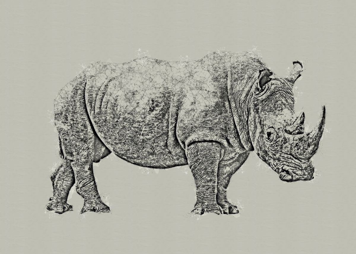 'Rhino' Poster by 4T4 Design Studio | Displate