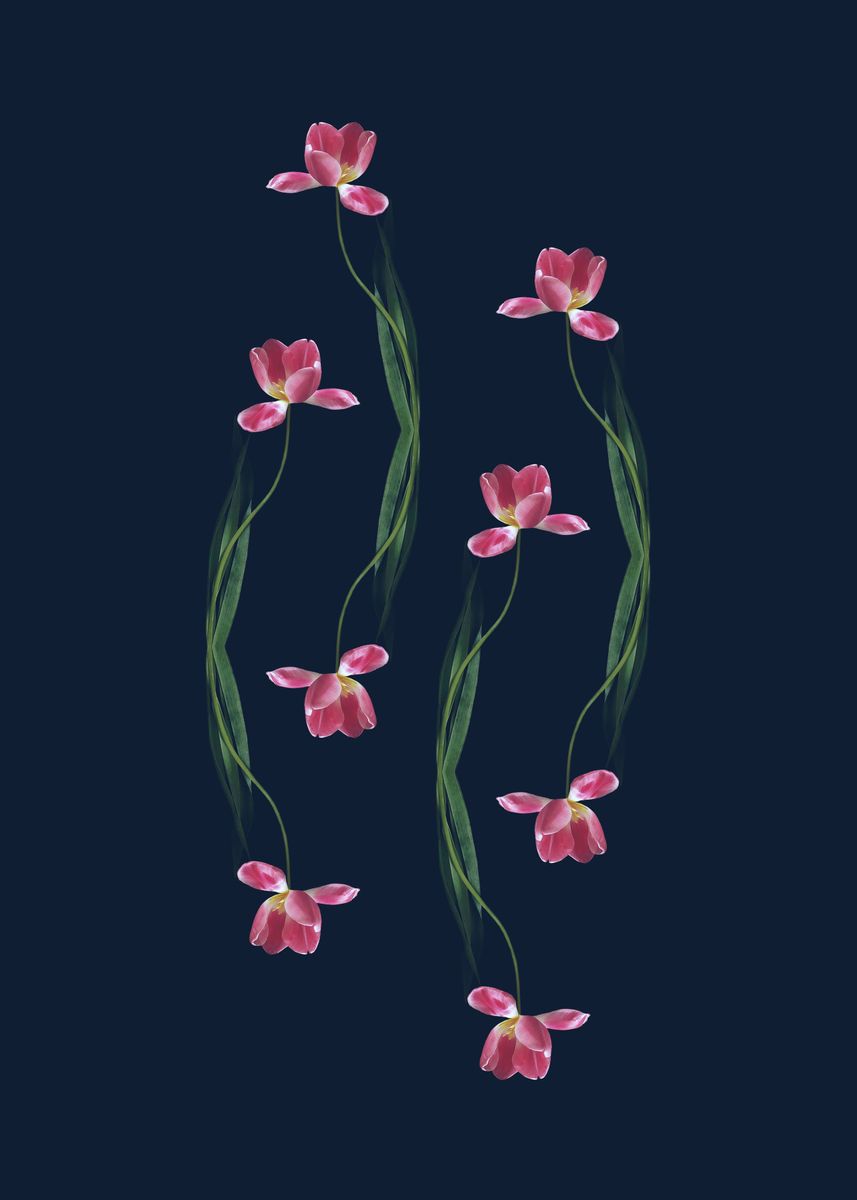 'Four Dancing Tulips' Poster by Florascopia Art | Displate