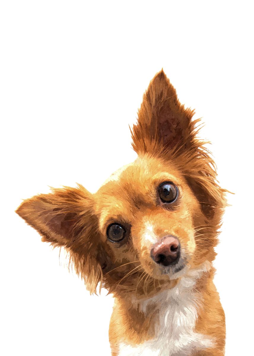 'Curious Dog' Poster by Alemi Prints | Displate