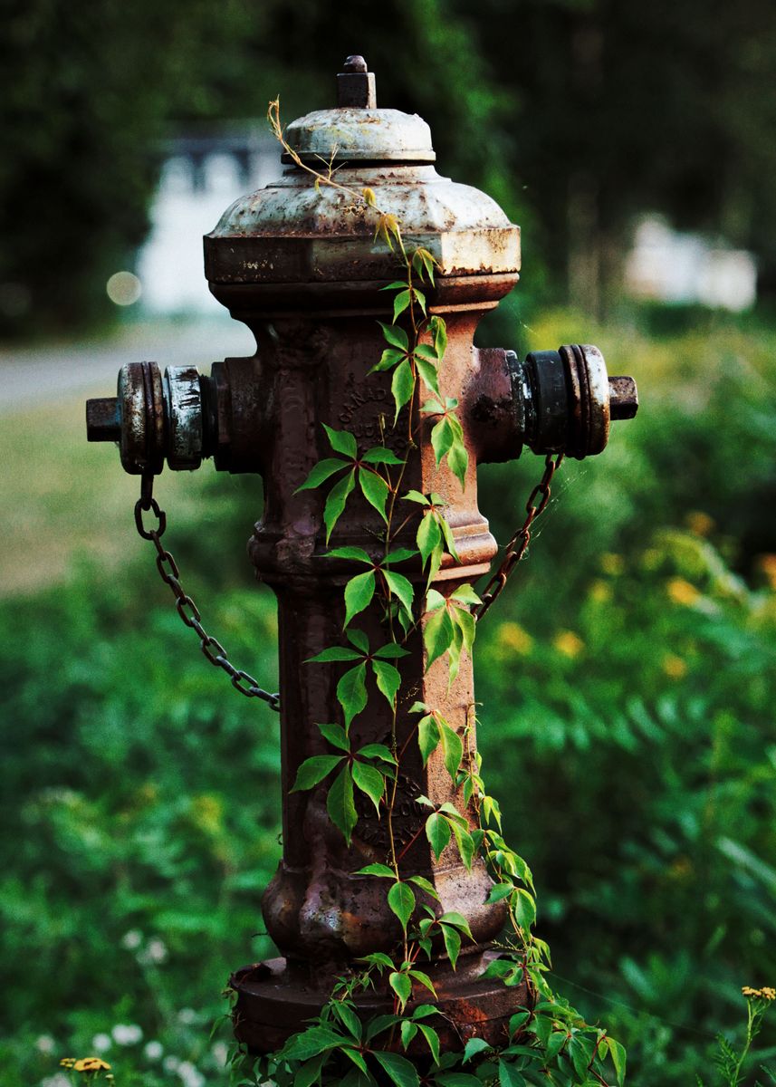'Nature strikes back' Poster by Daniel Gaudin | Displate